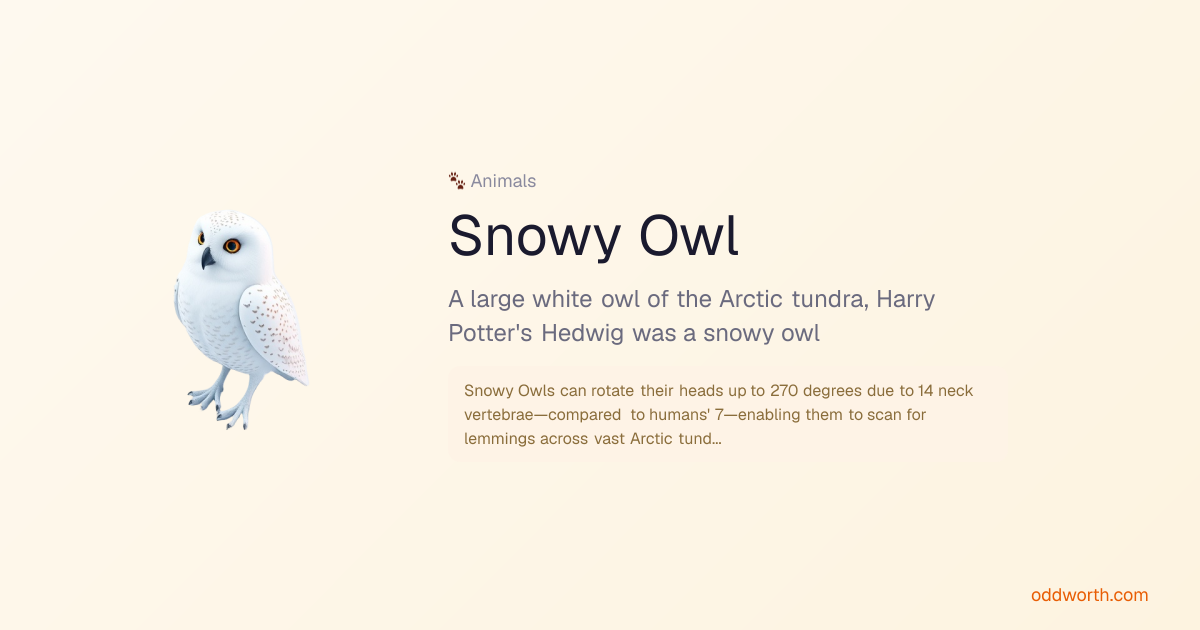 Snowy Owl | Oddworth
